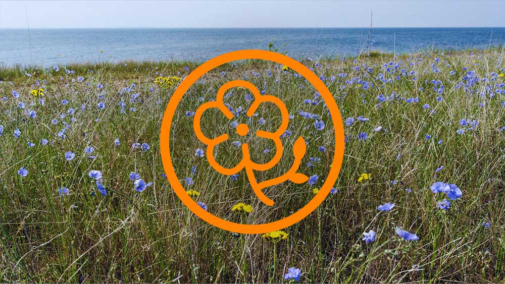 Ellevio | Hälsingland